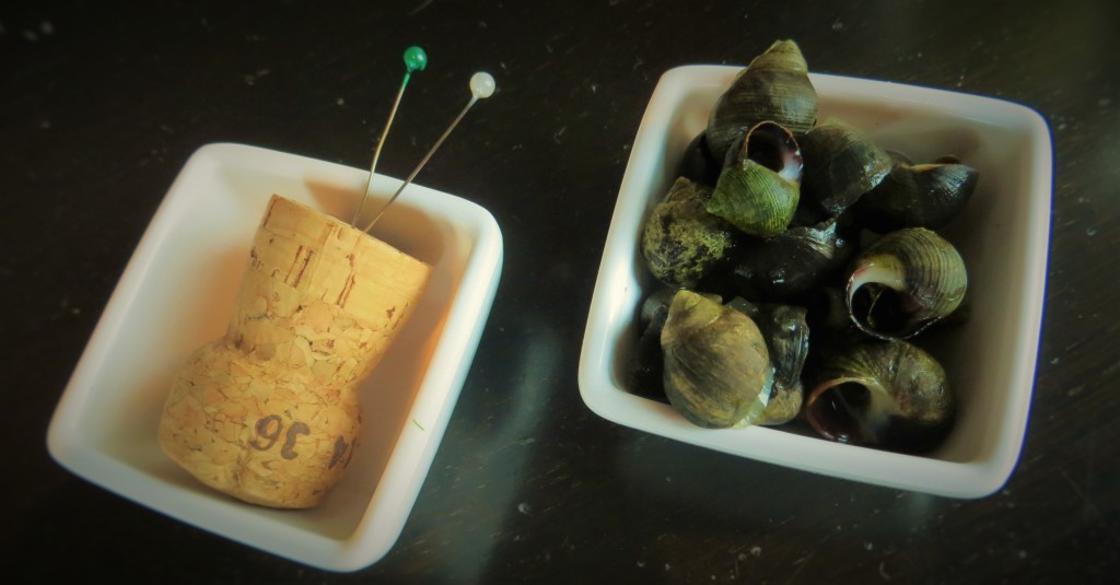 Easy Winkles Recipe | How to Cook Periwinkles